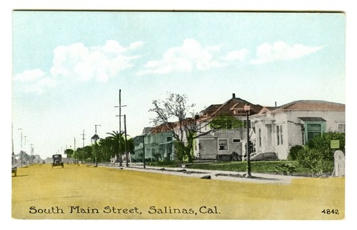 c.1910 SALINAS CALIFORNIA SOUTH MAIN STREET SCENE~ANTIQUE HAND-COLORD ...