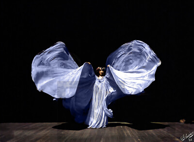 1902 The dancer Loie Fuller 11 x 14" Photo Print | eBay