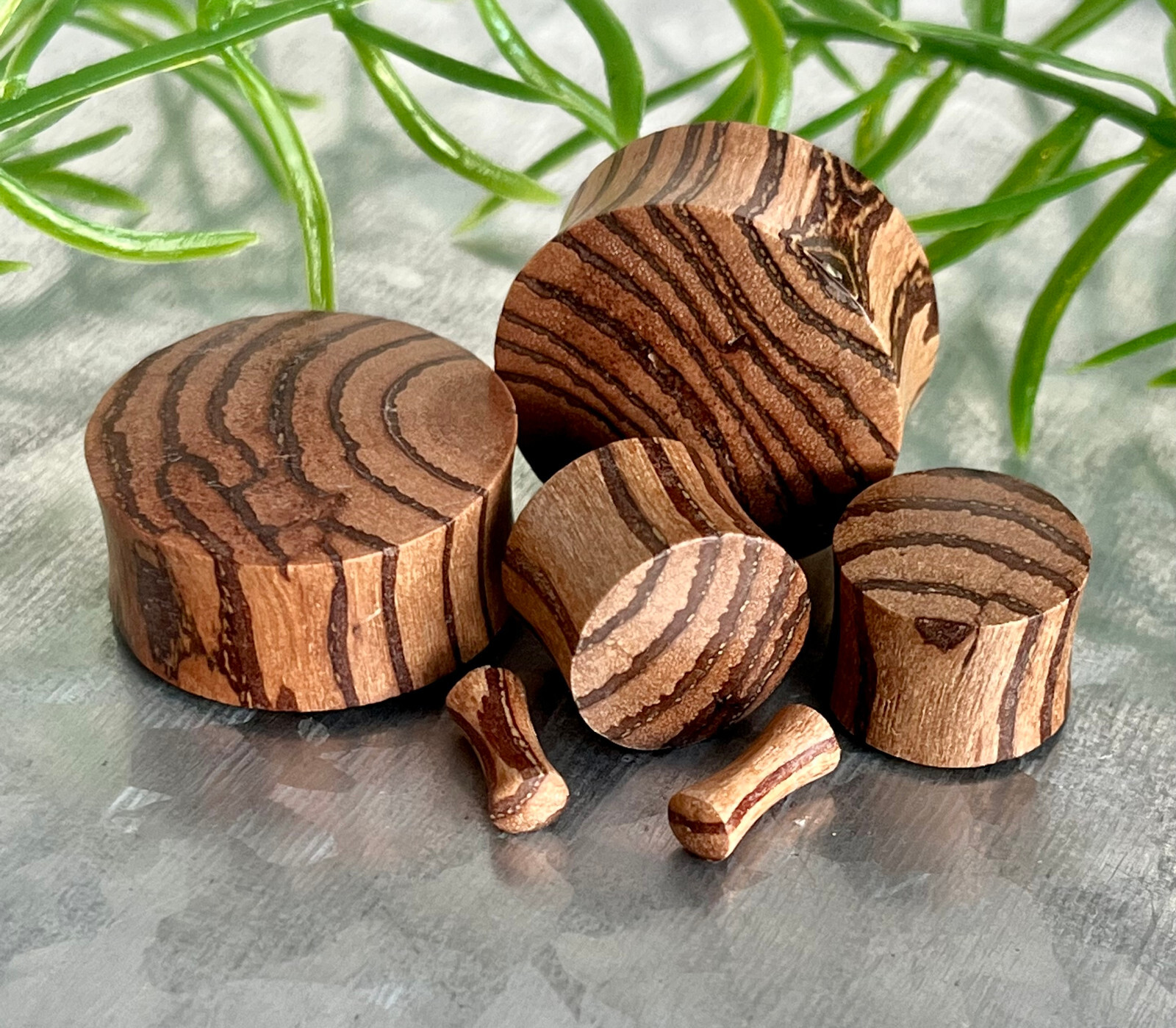 PAIR Zebra Wood Plugs Organic Earlets Tunnels Gauges Body Jewelry | eBay