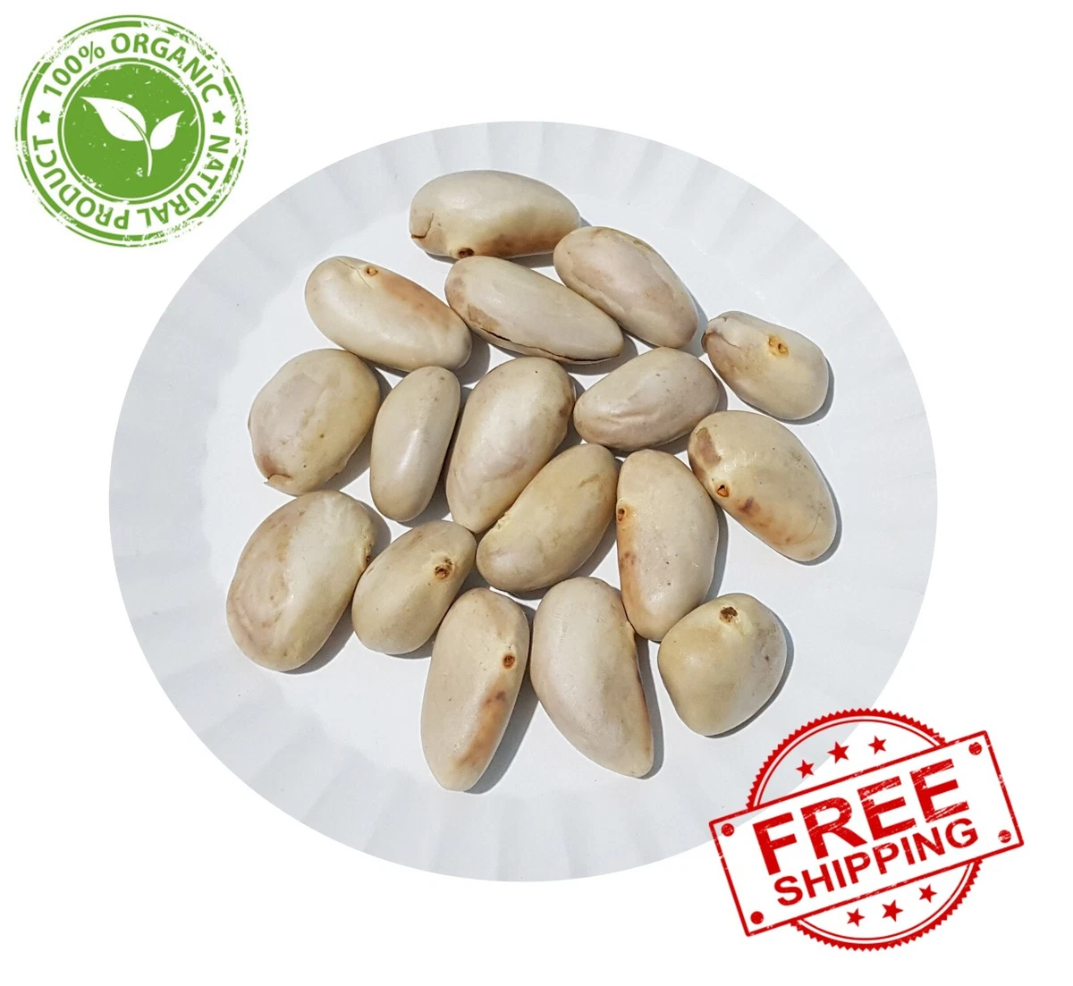 Boiled Jackfruit Seeds