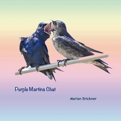 Purple Martins Chat by Marian Brickner Paperback Book | eBay