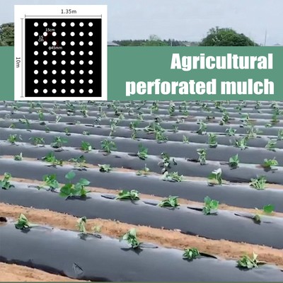 Garden Vegetable Mulch Film PE Greenhouse Perforated Mulch Plastic ...