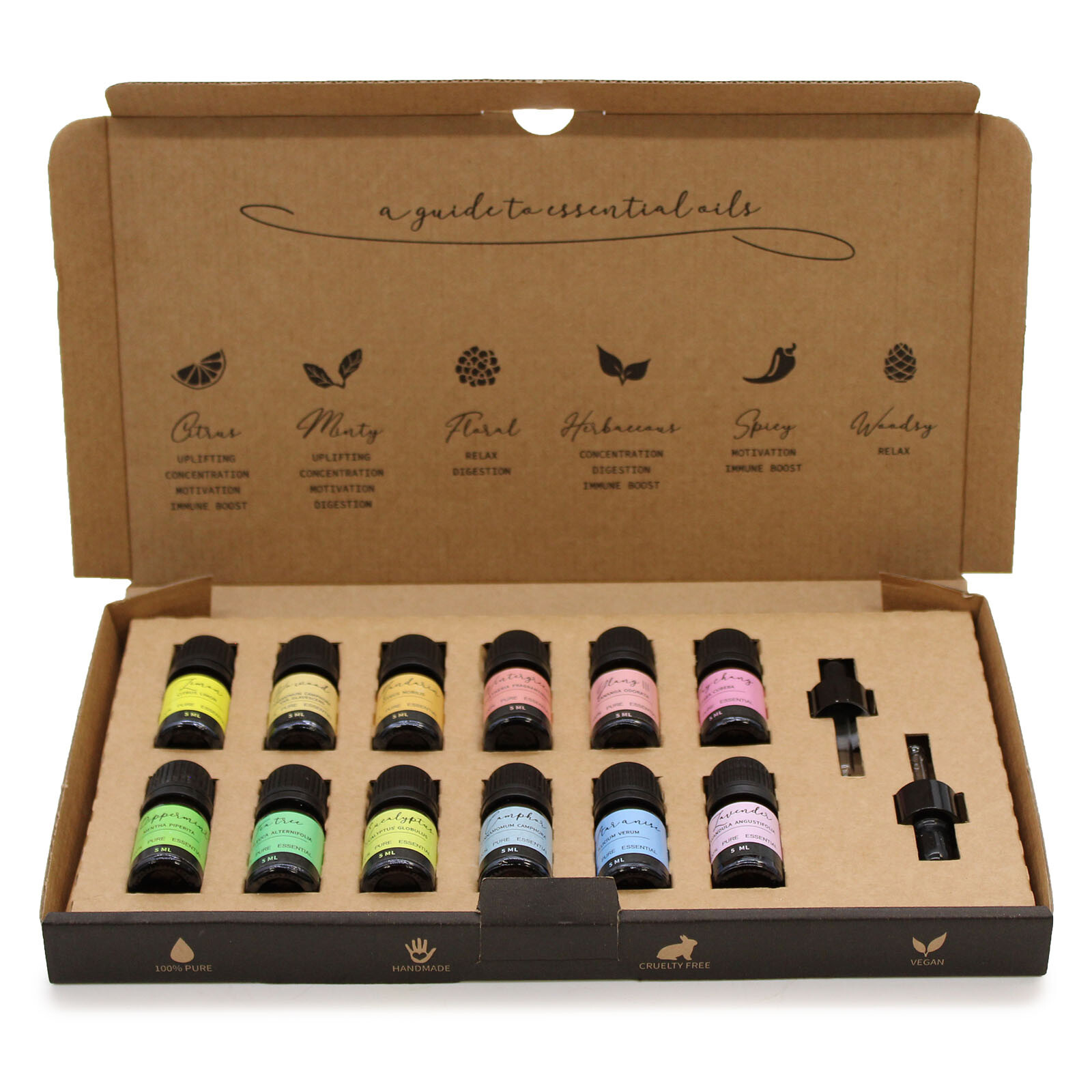 Aromatherapy Essential Oil Starter Kit 12 x 5ml Bottles, Boxed, Gift ...