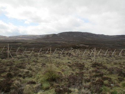 Photo A3 Moorland by the B9007 Duthil c2015 | eBay UK
