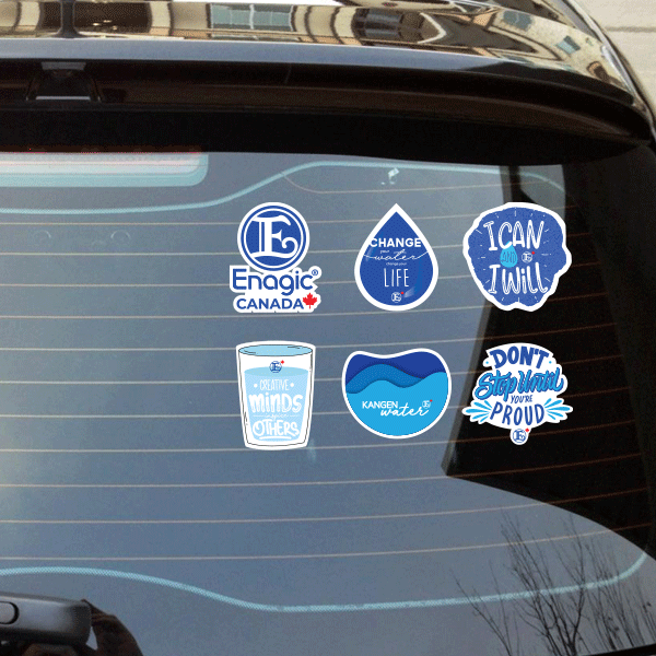 Enagic Kangen Leveluk Water Assorted Vinyl Waterproof Car Stickers 6 ...