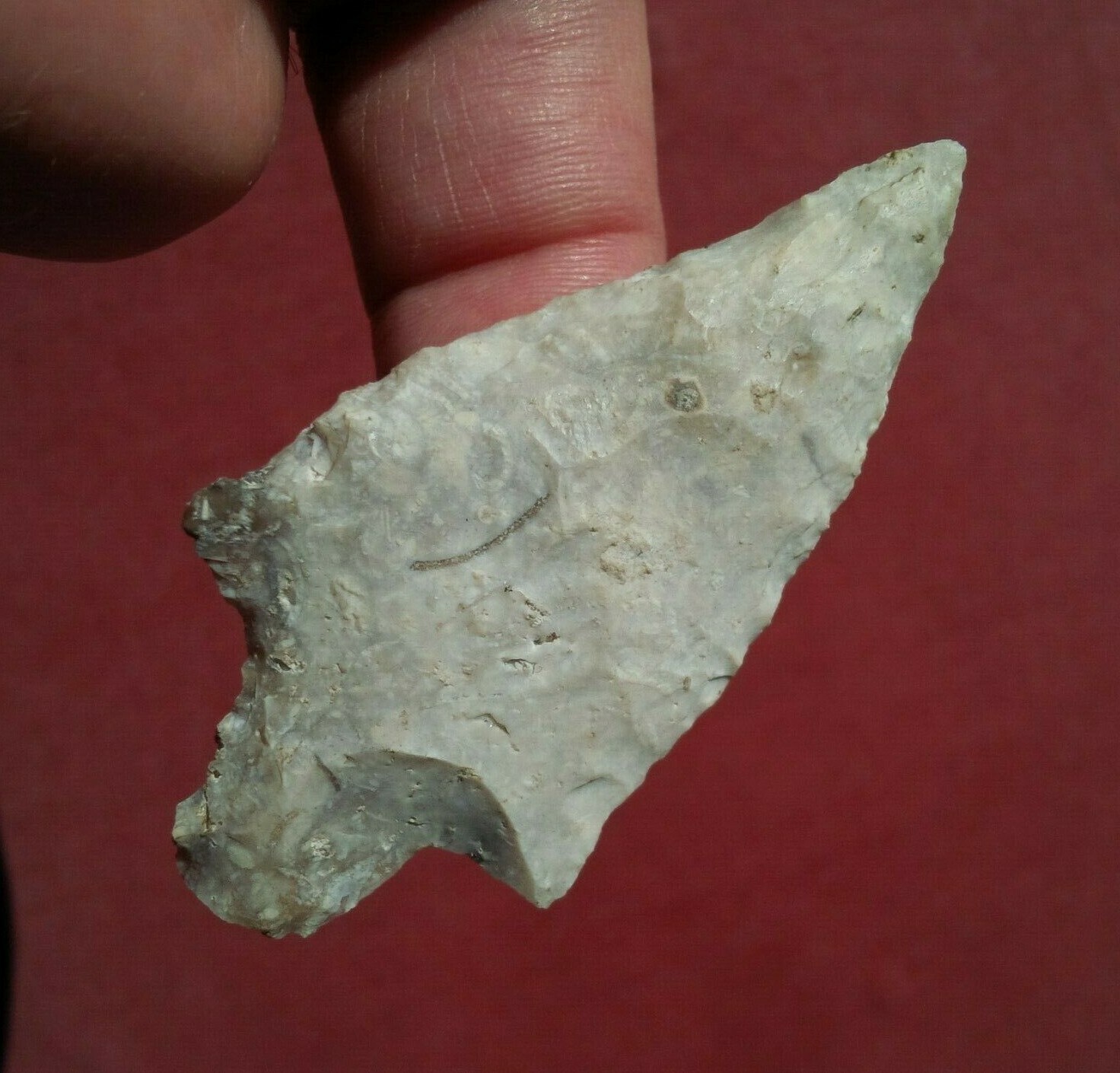 2-9/16" HARDEE BEVELED FLORIDA ARROWHEAD Authentic Indian Artifact ...