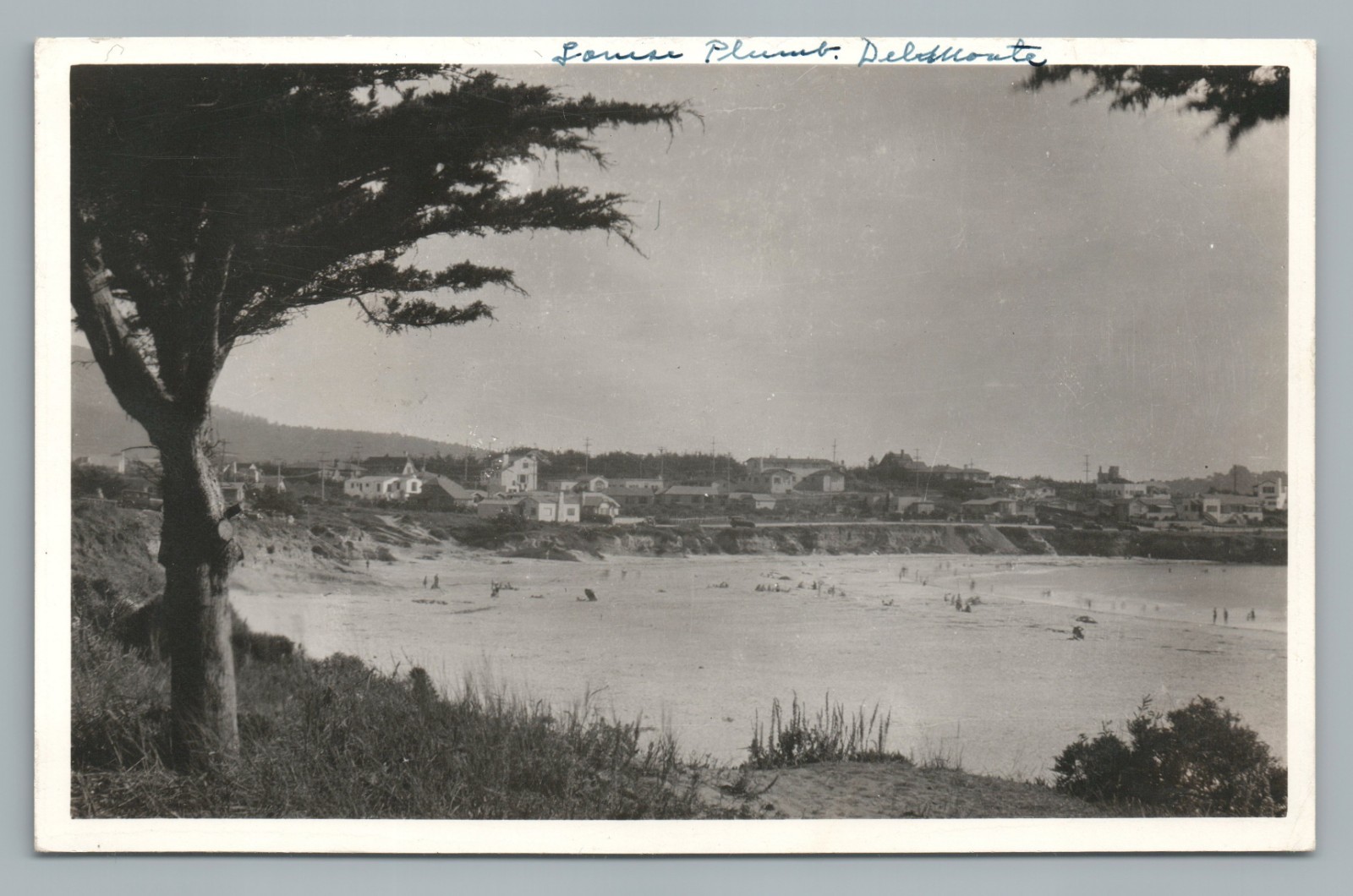 Del Monte California RPPC Monterey County RARE Antique Photo Postcard ...