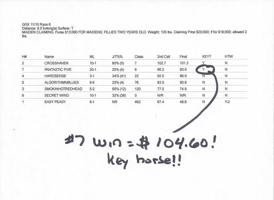 WinMore Express Thoroughbred Horse Race Handicapping Software | eBay