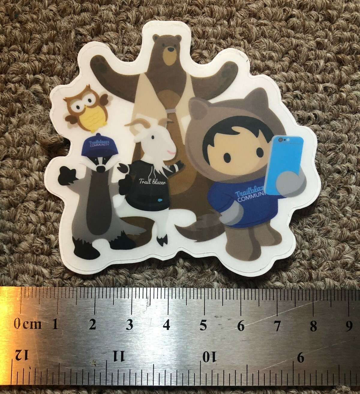 Rare Salesforce Astro, Codey, Ernie, Owl and Cloudy Selfie Sticker | eBay