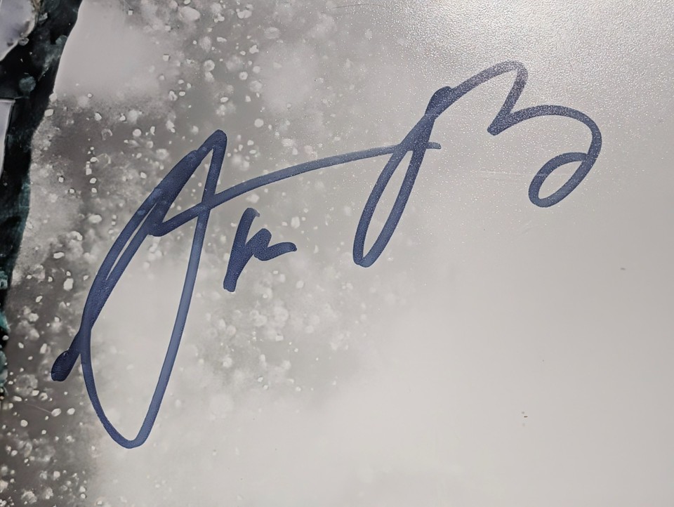 Aaron Rodgers Signed Green Bay Packers 16x20 Framed Football Photo AUTO ...