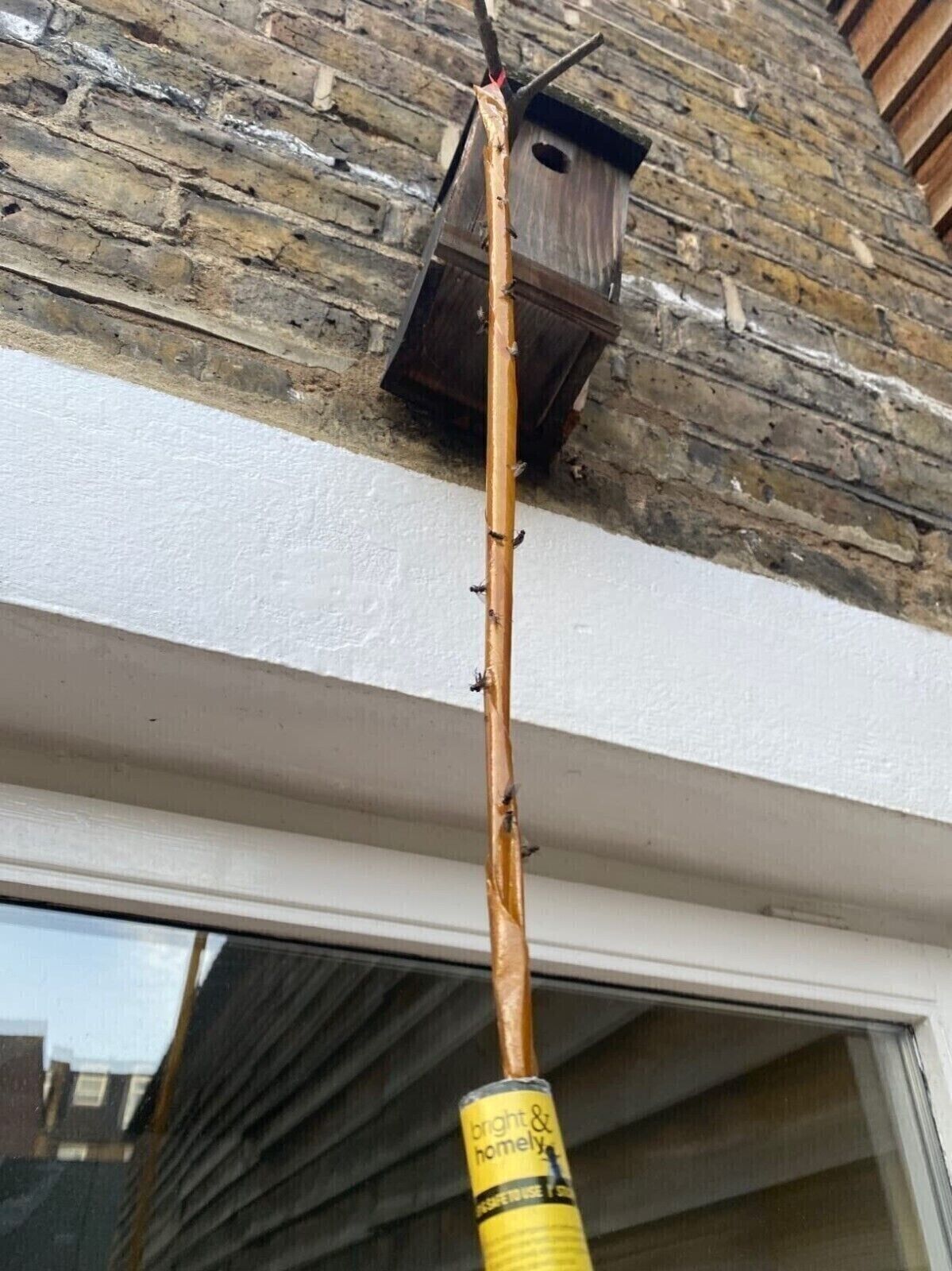 Rolls Fly Insect Catcher Paper Sticky Glue Bug Trap Killer Strong Tape ...