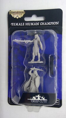 PATHFINDER BATTLES MINIATURE ~ FEMALE HUMAN CHAMPION | eBay