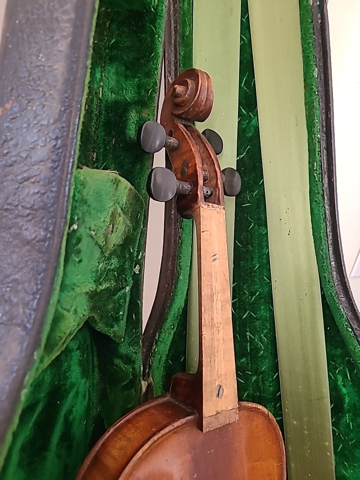 Stainer Acoustic Violin 4-String Brown Varnish Finish Chinrest Hard ...