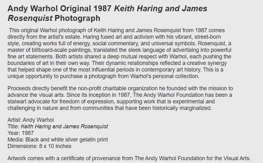 Andy Warhol Original 1987 Keith Haring and James Rosenquist Photo FL06 ...