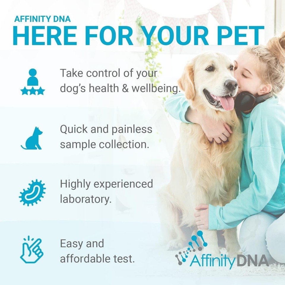Comprehensive Dog DM DNA for All Breeds - Home Sample Collection Kit ...