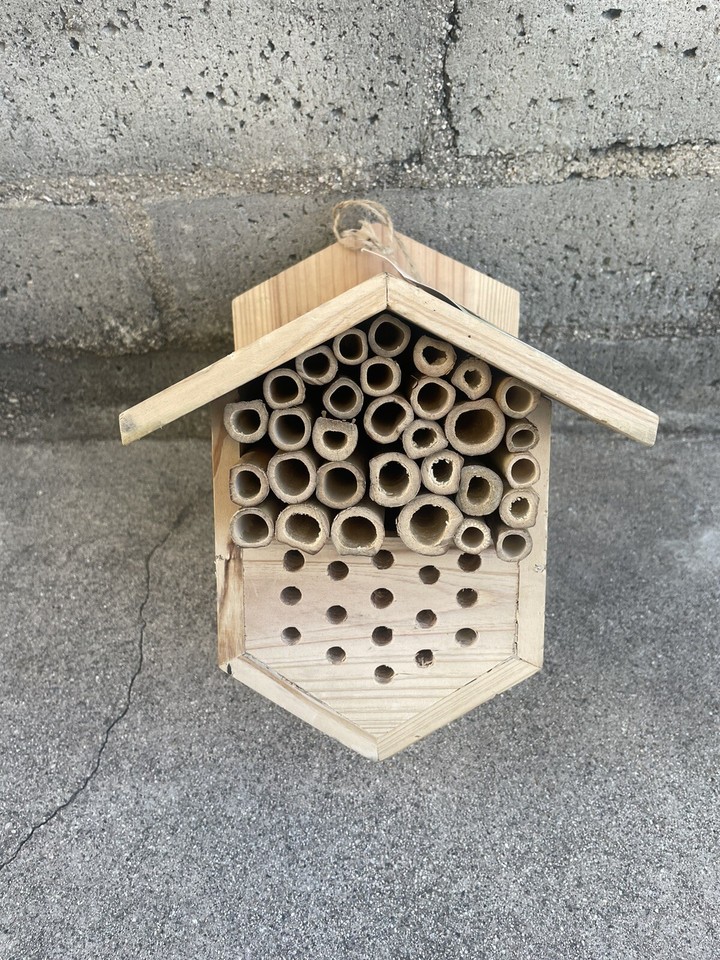 Chapel Wood Premium Quality Bee & Ladybird Cedar Wood Box Insect ...