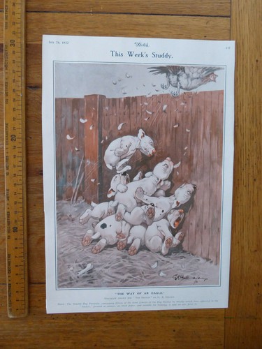 Large Antique Print George Studdy 1922 The Sketch dog cartoon Bonzo | eBay