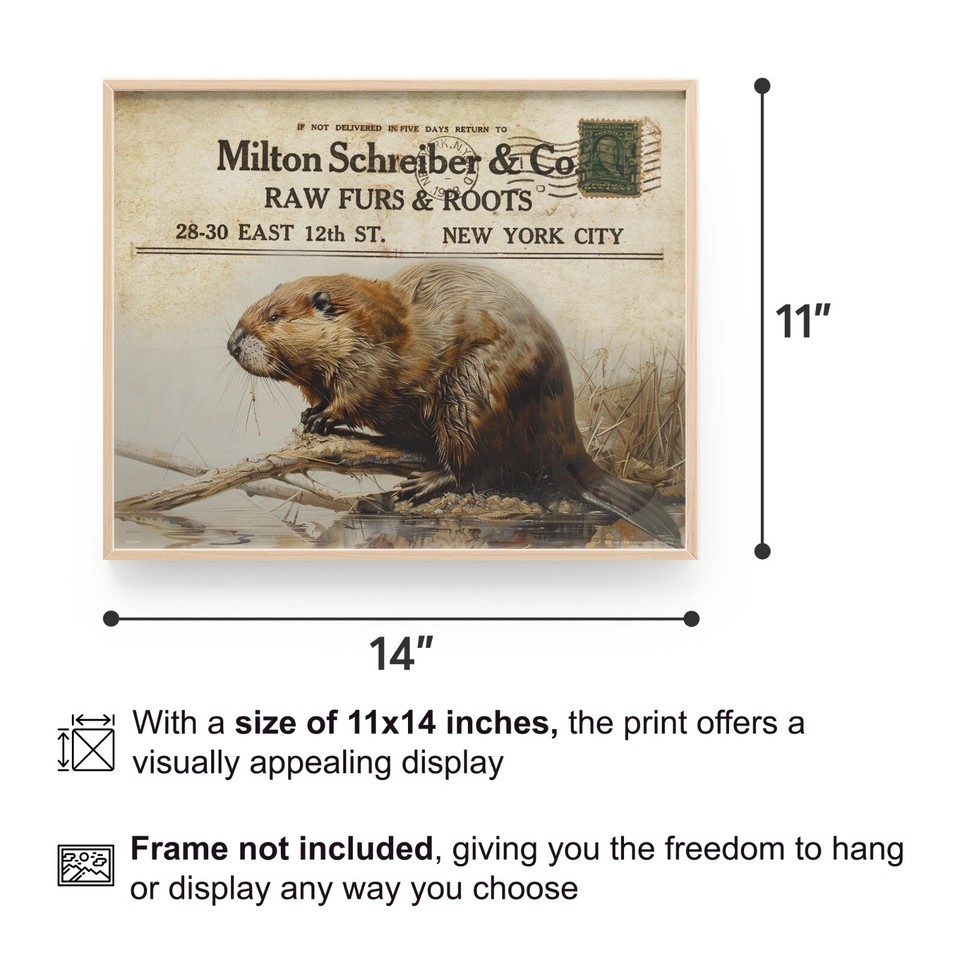 Vintage Beaver Fur Trapping Catalog Art Print Hunting Cabin Decor ...