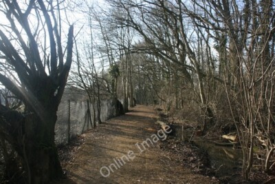 Photo 6x4 Footpath in Botley Wood Ashurst Wood/TQ4136 c2010 | eBay UK
