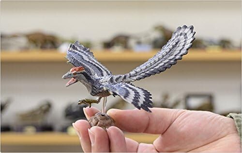 Favorite Dinosaur Soft Model Series Figure Archaeopteryx FDW-015 from ...