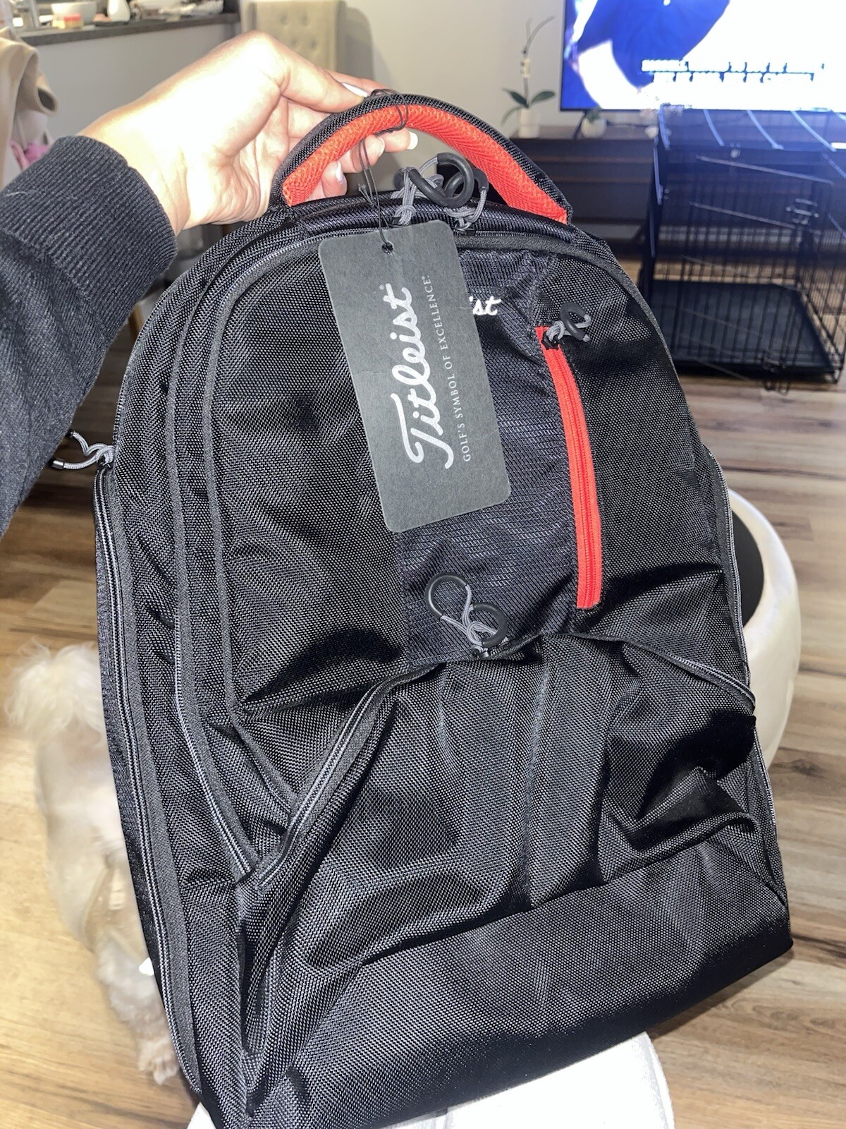 Titleist Golf Backpack | eBay