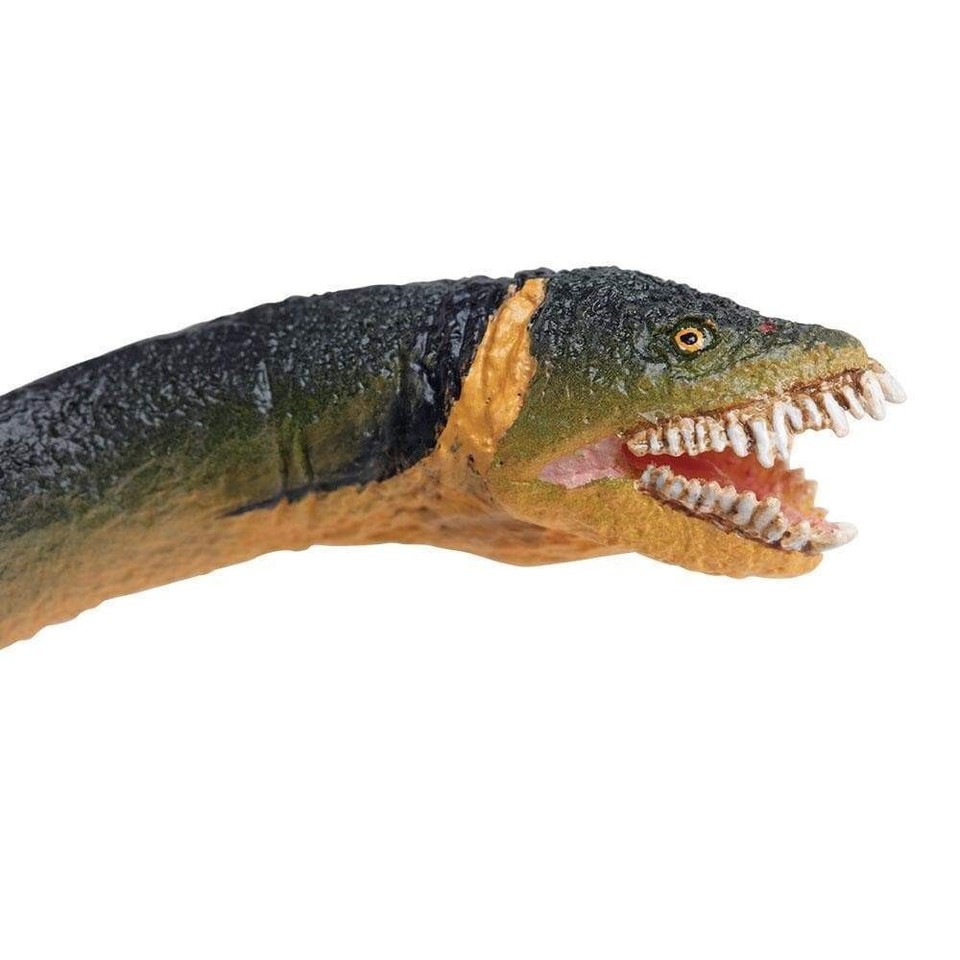 ELASMOSAURUS Dinosaur Animal Figurine Safari Ltd Prehistoric World ...