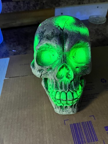 Vintage Seasons Lifesize Glow In The Dark Hard Plastic Resin Skull | eBay