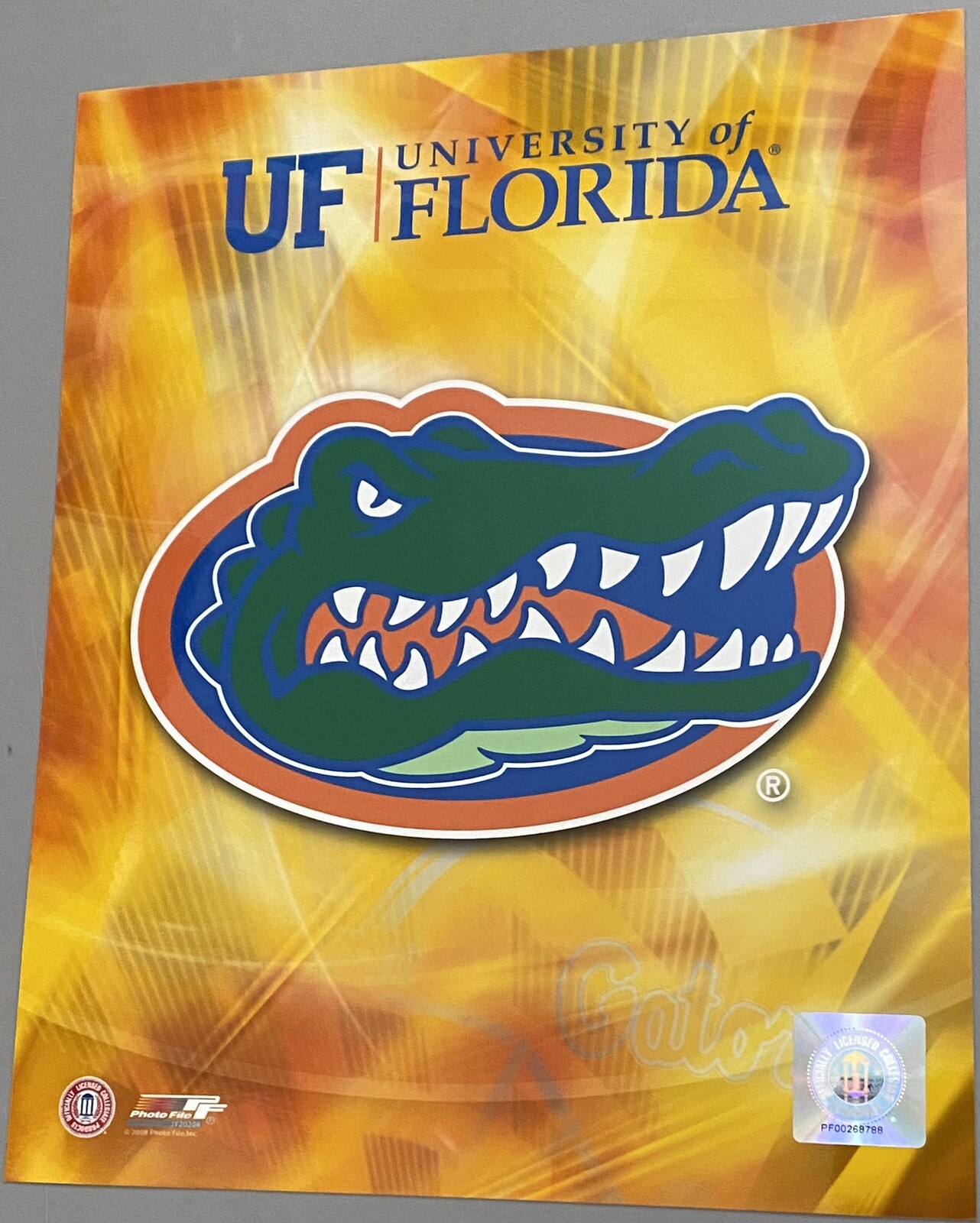 FLORIDA GATORS UF LOGO 8X10 PHOTO FILE MAN CAVE ART NCAA OFFICIALLY ...