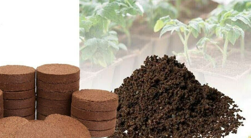 8Pcs Coco Coir Compost Disc Gardening Coco Peat Free 100g (100mm ...