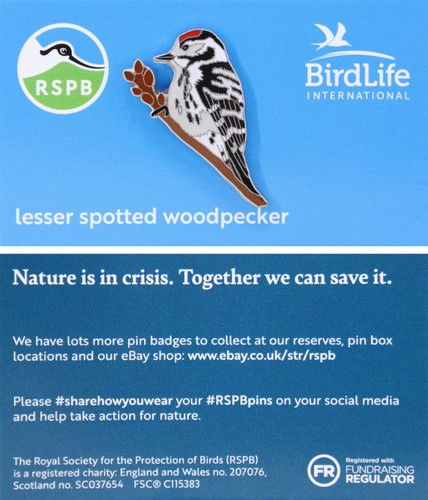 RSPB Pin Badge Bird Life International NIIC Lesser Spotted Woodpecker ...