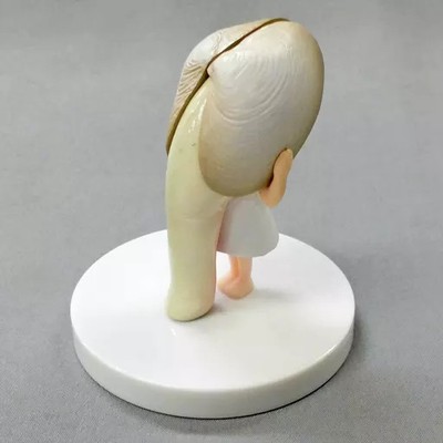 Trading Figure Mirugai Panda no Ana Kaikaburi Series | eBay