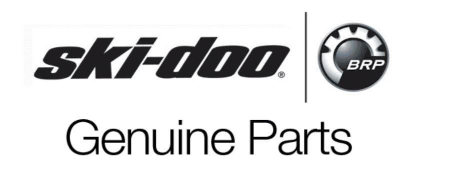 Ski-Doo LinQ Universal Rack 860202357 | eBay