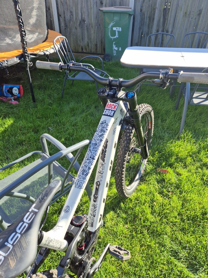 Vitus Sommet Free Ride Dh Enduro Mtb Full Sus 29 Xl Large Frame | eBay UK