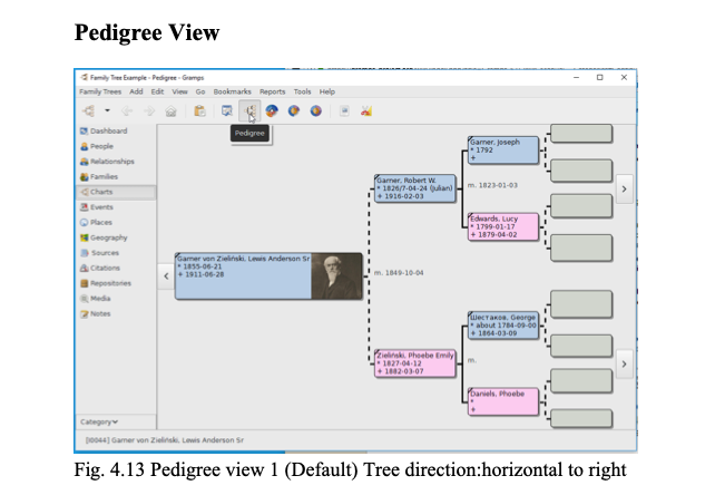 Gramps Family Tree Maker and Genealogy Software Family History Ancestry ...
