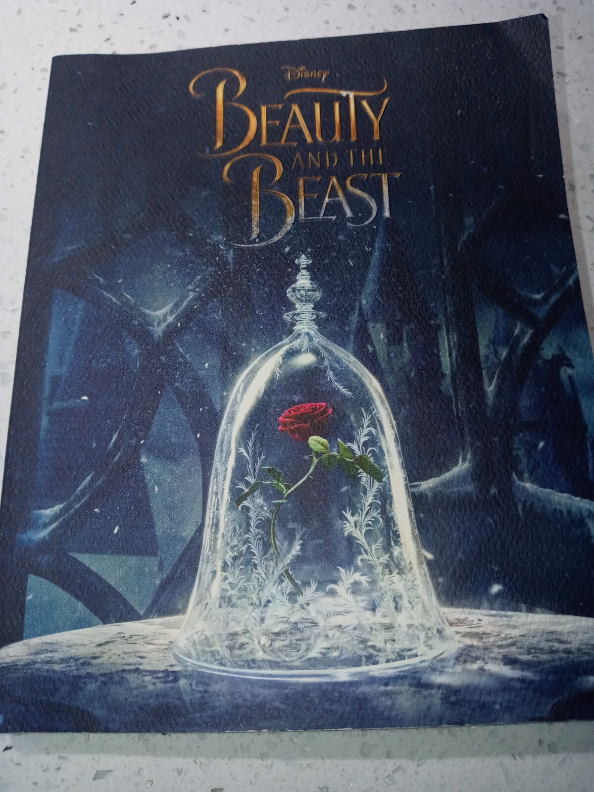 Beauty and the Beast Novelization by Elizabeth Rudnick (2017) | eBay