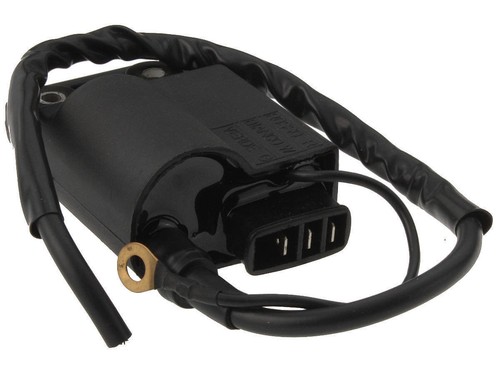 Standard CDI offen für Piaggio Diesies Fly Free NRG TPH Sfera Zip ...