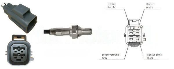 Intermotor Sauerstoff Lambdasonde 64866 Ersatz DX239G444HA, C2D24923 ...