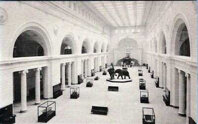 Stanley Field Hall Field Museum Natural History Chicago Postcard ...