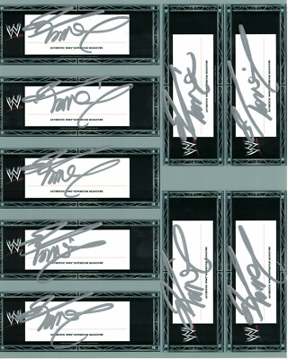 WWE Torrie Wilson Autographed Signature card sheet (photo quality), 9 ...