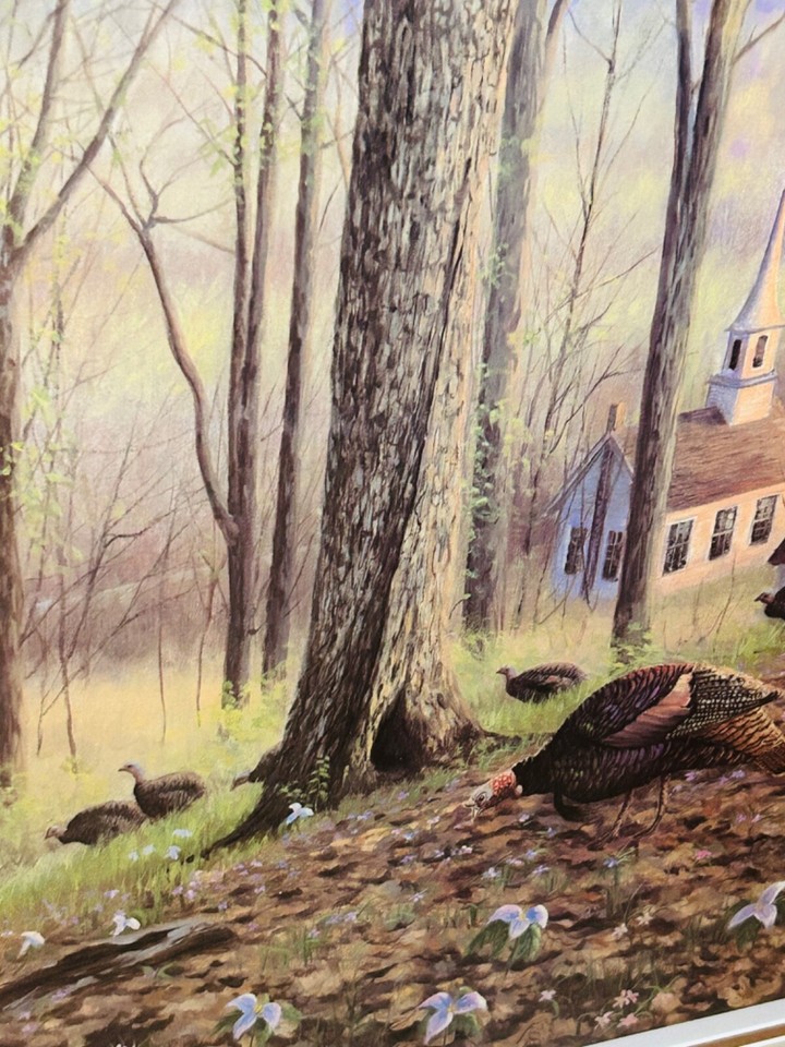 Terrill Knaack Framed Wildlife Print Signed Numbered Turkeys Pheasants ...