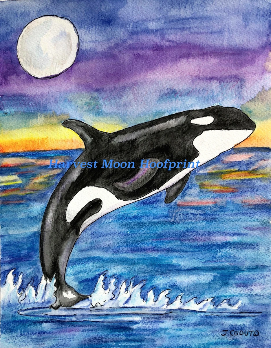 Orca Jumping Drawing