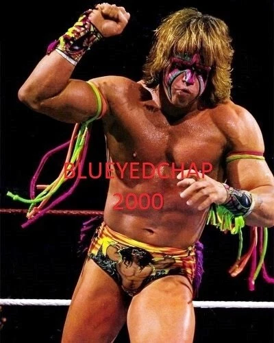 Ultimate Warrior Sting Wcw