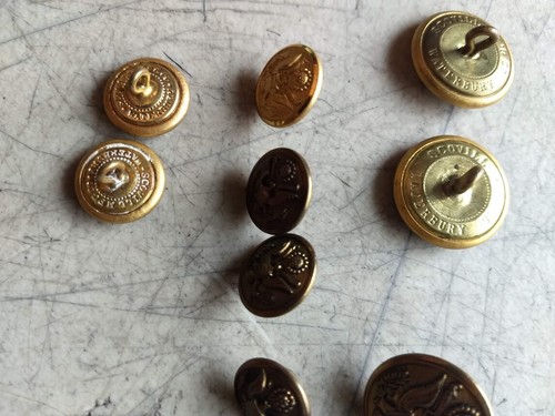 Military Eagle Button Scovill Mfg Co Waterbury 11 buttons | eBay