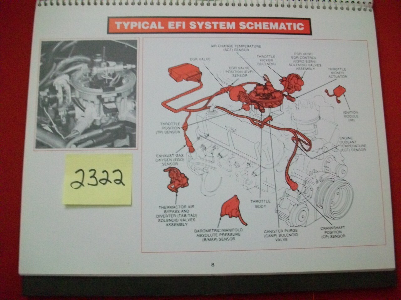 1981 FACTORY FORD ELECTRONIC ENGINE CONTROLS EEC-III FBC EFI CHART 4 D ...