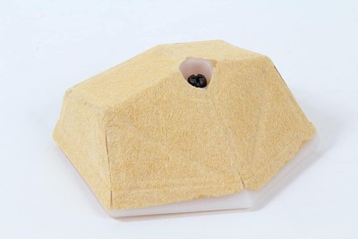 Husqvarna Genuine 503898101 Felt Air Filter Fits 51 55 55 Rancher OEM ...