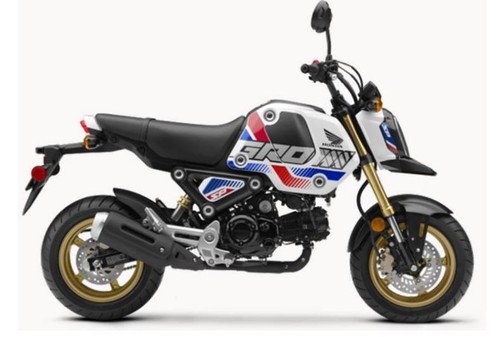 2022-2024 Genuine Honda GROM Front Accessory Fender Black 0SB23-K26-A00 ...