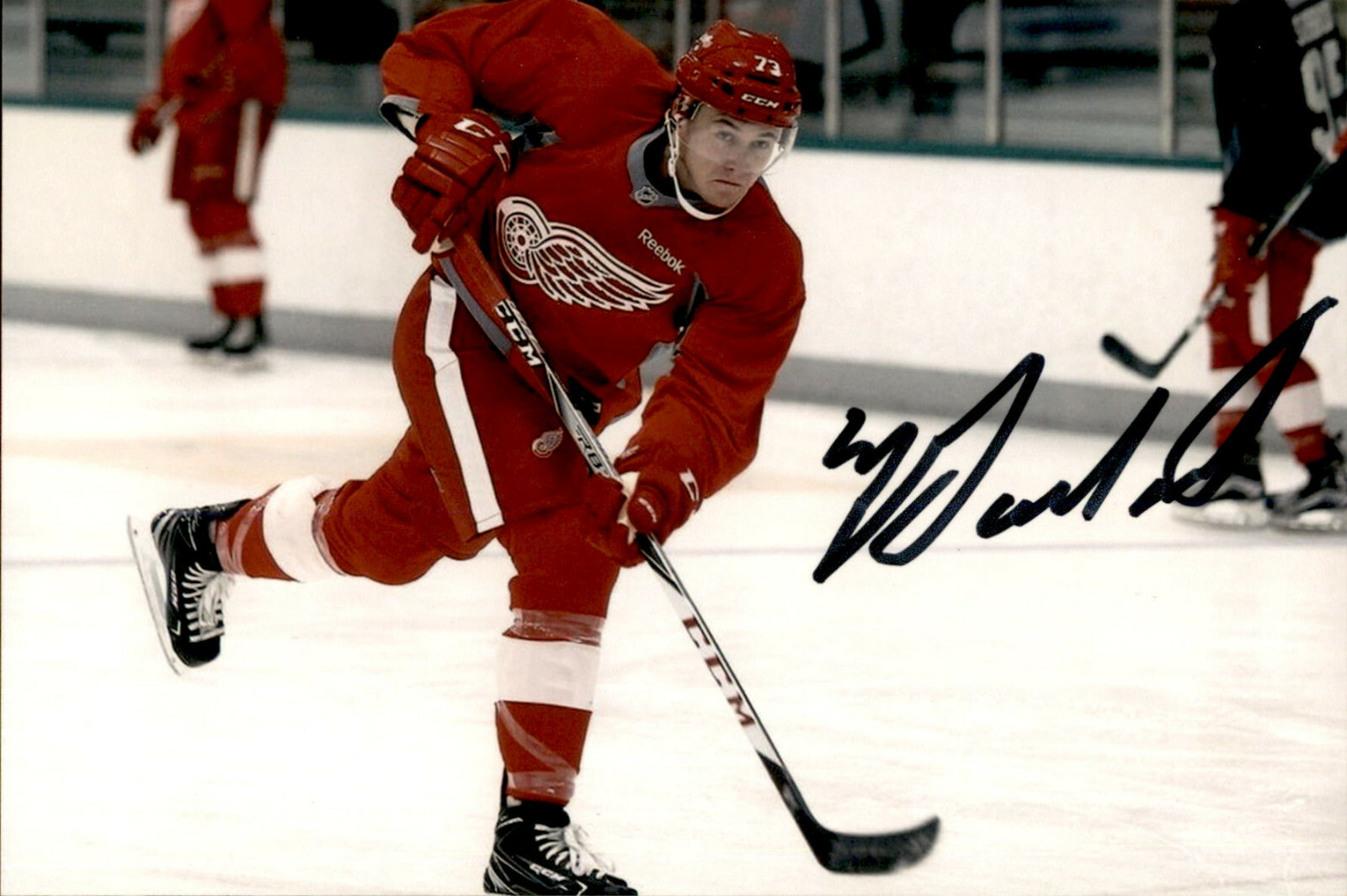 Zach Gallant Signed 4x6 Photo Detroit Red Wings #3 | eBay