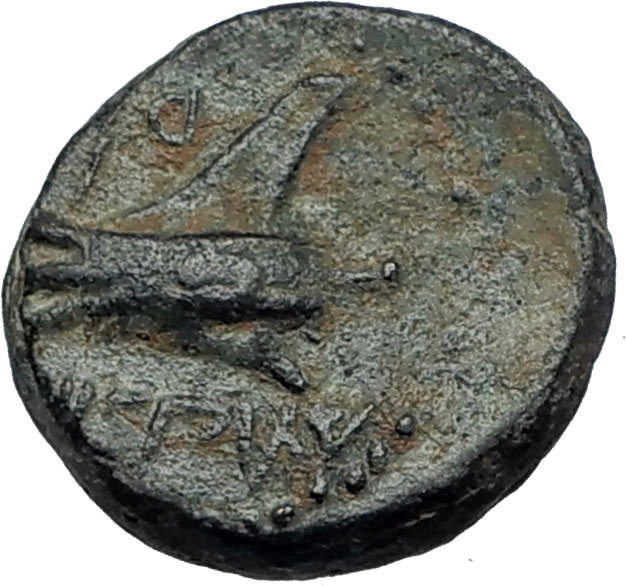 ARADOS in PHOENICIA Authentic Ancient 206BC Greek Coin w ZEUS & GALLEY ...