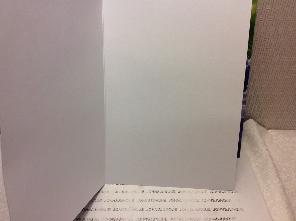 AVANTI BLANK INSIDE CARDS New w/Envelopes LOT 4 WRITE YOUR OWN MESSAGE ...