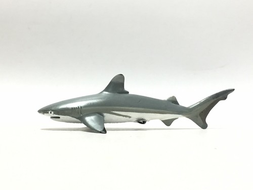 Japan Colorata Blacktip Reep Shark Animal Sea Life Realistic Figure ...